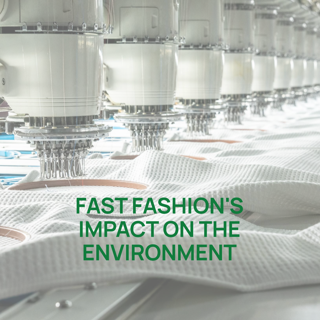 Fast Fashion Environmental Toll: What You Need to Know and How to Change